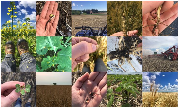 Top 5 Items Every Agronomist Needs in Their Pickup – Agronomy Nerd with ...